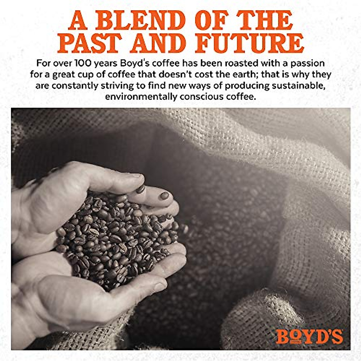 Boyd's Coffee French No. 6 Coffee –Ground Dark Roast– Blended from 100% Arabica – Rich & Full-Flavored – Single Cup - Pack of 12.