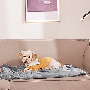 NICETOWN Dog Blanket for Small Medium Dogs Pet Day, Sherpa Soft Warm Pet Fleece Throw for Indoor Cats, Soft Blanket Furniture Protector Sofa Couch Bed Crate for Pet Lovers, Light Grey, 24x32