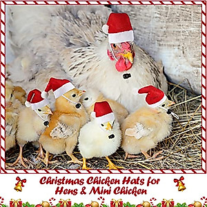 12 Pcs Chicken Christmas Hats for Hens Mini Chicken Santa Claus Hat with Adjustable Chin Strap Small Animals Santa Hat for Hens Chicken Rooster Goose Duck Parrot Christmas Holiday