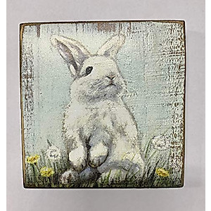 Primitives by Kathy Home Décor Sign With a Bunny in Dandelions: perfect for home, office, housewarming, gift,6" x 6" x 1"