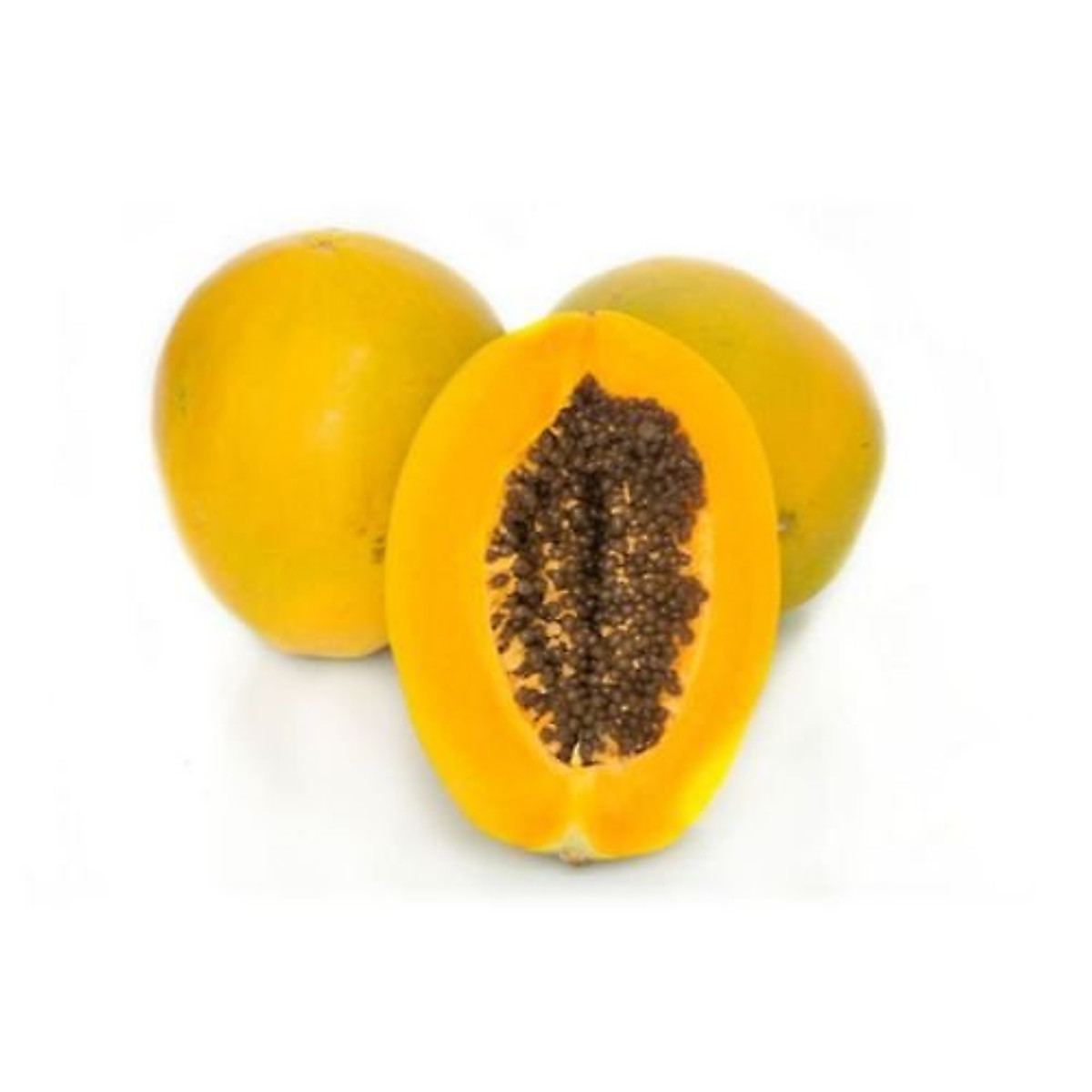 10+ Very Fresh Rare! Dwarf Waimanalo Papaya! tropical fruit tree seeds plant