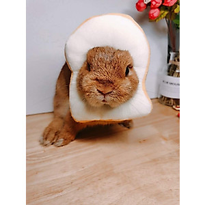 Rabbit Collar Bread Slice Collar Toast Bread-Shaped Rabbit Headdress, Pet Halloween Gift Cosplay Makeup Cap, Bunny Cartoon Costume, Dressing Up Props, Small Animal Headgear (8''- 9'' head girth)