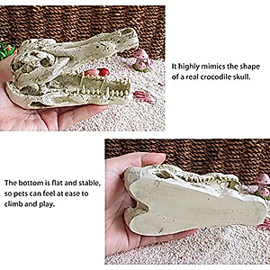 Tfwadmx Bearded Dragon Tank Accessories Reptiles Crocodile Skull Decorations Resin Human Skulls Hideouts Cave Habitat Decor for Chameleon,Snake,Spider,Gecko and Fish
