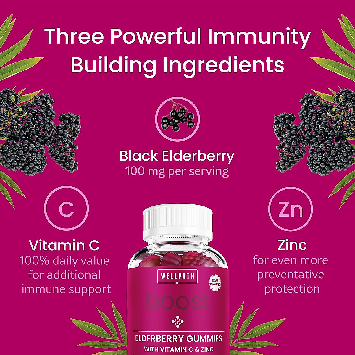 WellPath Boost Elderberry Gummies with Zinc & Vitamin C | Immune Support Supplement for Adults | Immunity Booster Vitamins | Sambucol Black Gummy | Non-GMO & Vegan, 60 Ct