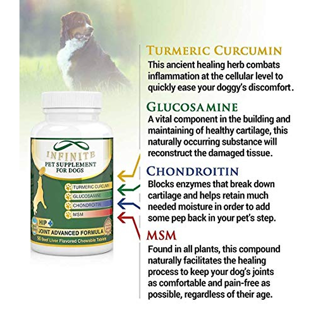 IPL Advanced Hip & Joint Formula - 90 Mobility & Pain Relief Dog Chews - Glucosamine, Chondroitin, MSM, & Turmeric for Superior Joint Health