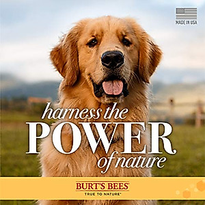 Burt's Bees for Pets Care Plus+ Naturally Derived Relieving Itch & Hot Spot Spray with Chamomile & Rosemary - Best Hot Spot Treatment for Dogs - Cruelty Free,Made in USA, 12 Oz