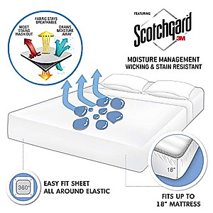 Madison Park 3M Microcell Color Fast, Wrinkle and Stain Resistant, Soft Sheets with 16" Deep Pocket All Season, Cozy Bedding-Set, Matching Pillow Case, 4 pieces, Queen, Blush