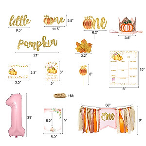 Little Pumpkin 1st Birthday Decorations, Pumpkin First Birthday Decorations Supplies for Autumn Fall 1st Birthday Party, Halloween Thanksgiving 1st Birthday, Our Little Pumpkin is Turning One