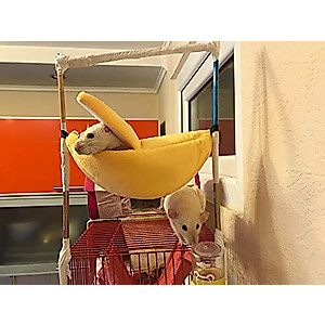 WNZQK Banana Bed for Hamster Small Animals House Pet Hammock Dutch Pig Hedgehog Rat Guinea Habitat Chinchilla Sugar Glider Hamster Accessories Toys Outfits(Small 8 Inch)