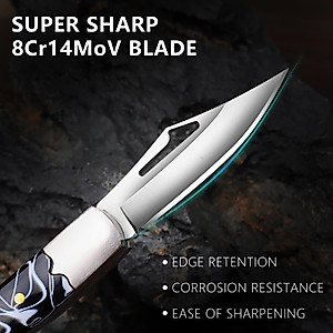 Coowolf Mini Pocket Knife Keychain Knife D2 Steel Folding Knife Daily Box Cutter EDC Knife, Creative Keychain Accessories for Men&Women