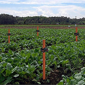 Lycoming Predator Control Light Coyote Deterrent 2 Pack and Univerayo Solar Predator Lights for Yard Chickens Coop Raccoon Fox Skunk Deer Repellent 4 Pack Bundle