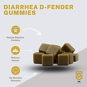Pup Shield Dog Diarrhea Relief Gummies | Vet-Formulated Gut Health Support Treats with Probiotics, Pumpkin, Ginger, Marshmallow Root | Pure Digestive Aid for Canine Stomach Issues - 90 Gummies