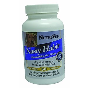 Nutri-Vet Nasty Habit Chewable Tablets for Dogs | Helps Stop Puppies and Dogs from Eating their Own Stool | 60 Count