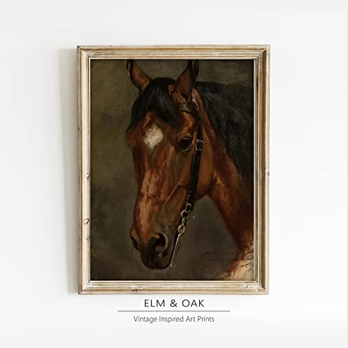 Equestrian Wall Decor - Horse Art Print for Home Decor - Antique Horse Riding Wall Artwork Decoration Farmhouse Country Wall Art for Home Decor - 11x14 inches, Ready to Frame (Stallion Portrait)