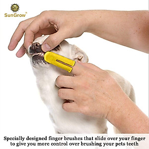 SunGrow Dog & Ferret Toothbrush Set of 4, 2 Long Dual-Headed Toothbrush and 2 Finger Brush, Blue and Yellow, Puppy, Cat, and Small Breed Dog Toothbrush, 9-Inches and 2.5-Inches