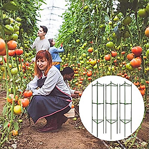 3 Packs Tomato Cages Plant Cages Deformable Up to 48inch Garden Tomato Stakes Vegetable Trellis, Plant Supports Tomato Trellis for Vertical Climbing Plants Flowers Fruits