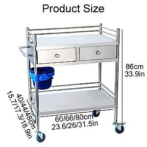 Medical Cart, Laboratory Equipment Rolling Carts, with 2 Shelves Shelf Stainless Steel with Wheels Rolling Cart, Commercial Wheel Dental Lab Cart Utility Services ( Size : 66x44cm(26x17.3in) )