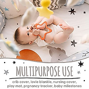 Milestone Blanket with Two Markers, Gender Neutral Baby Milestone, Baby Monthly Milestone, Baby Milestone Blanket, Baby Monthly Milestone Blanket, Baby Growth Chart Blanket (60"x40")