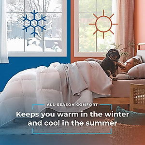 LINENSPA White Down Alternative Comforter and Duvet Insert - All-Season Comforter - Box Stitched Comforter - Bedding for Kids, Teens, and Adults - King