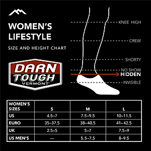 Darn Tough 6072-N-2009-03 Garden Party No Show Hidden Lightweight White Small