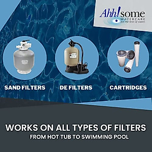 AhhSome Hot Tub, Swim Spa & Pool Filter Cleaner, Hot Tub Filters & Cartridge Cleaner Soak Solution, Works Great on Sand Filters, Improves Tub Filter Efficiency, 6 Months Cleaning in a Single Container