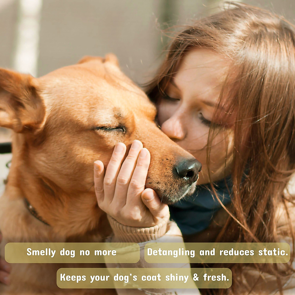 Pet Silk Clean Scent Pet Cologne 11.6oz, Odor Eliminator Animal Deodorant & Body Perfume Spray, Conditions and Deodorizes, Clean & Fresh Scent made for Dogs, Cats, Horses and more!