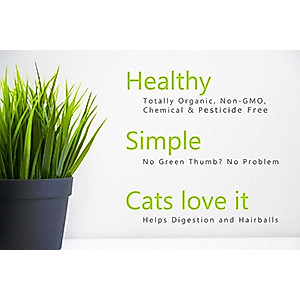 Crafted-Brand Simple Cat Grass Blend | 100% US Organic + 4 Popular Seeds | Wheat, Barley, Oats, and Rye Seed Mix Combo | Show Your Love with a Healthy Pet Treat and Snack (6 Ounce (~4800 Seeds))