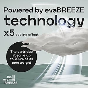 Evapolar EvaSMART Personal Evaporative Air Cooler, Humidifier and Portable Air Conditioner EV-3000 with Alexa support - Opaque White