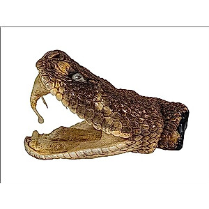 Chichester Inc Extra Large Real Rattlesnake Head : Open Mouth