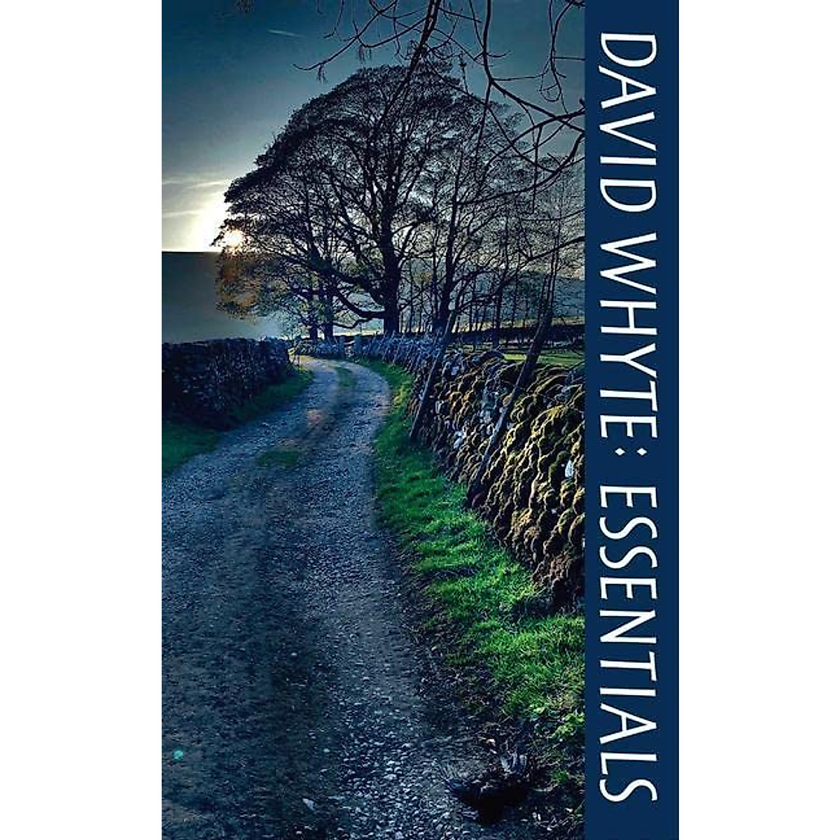 David Whyte: Essentials