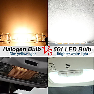 Anourney 561 Led Bulb,Super Bright White 4014 Chips Latest 44mm Rigid Loop 1.73in Festoon bulbs,Replacement for Car Interior Map Dome Courtesy Lights,561 562 567 Led Bulbs(Pack of 4)