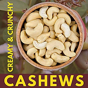 Raw Whole Unsalted Cashews – 5 lbs.- Premium Quality Kosher Raw Cashews By We Got Nuts – Oil-Free Natural, Healthy & Diet-Friendly Snack – Gourmet Savory Flavor – Air-Tight Resealable Bag Package