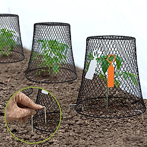 Dukelai 10 Pcs Chicken Wire Cloche Plant Covers Garden Netting Metal Heavy Duty Plant Protectors from Animals for Keeping Bunnies Chicken Squirrels Birds Other Out 9.13×9.13 in