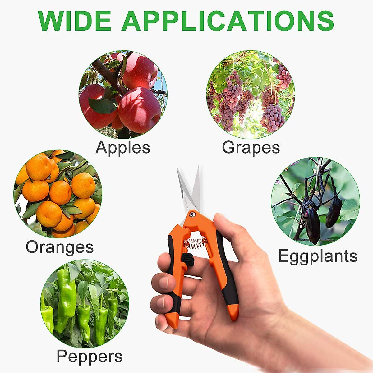 GROWNEER 3 Packs Pruning Shears with Straight Blades, 3 Packs Trimming Scissors with Non Stick Blades, Gardening Hand Pruning Snips with Straight Stainless Steel Precision Blade