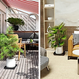 WAYNHUI Squared Plant Saucer 6/8/10/12/14/16/18/20inches Square Plastic Basin Tray Large/Small Water Receiving Tray (Black 10inch 5pack)