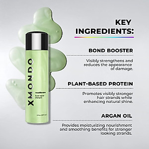 XMONDO Hair Recalibrate Bond Repair Shampoo | Vegan Formula with Bond Builder, Maracuja Oil, and Hyaluronic Acid to Restore, Strengthen, and Revitalize Dry Damaged Hair, 8 Fl Oz 1-Pack