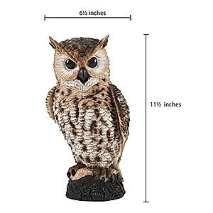 VA Resin Garden Owl Statue, Fake Owl, Fake Statue, Fake Owls, Garden Owl, Owl Décor, Realistic Owl, Owl Yard Décor, Owl.