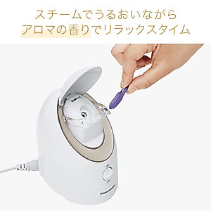Panasonic EH-SA3C-N [Steamer Nanocare Compact Type Gold Style] Facial Steamer 100V Shipped from Japan