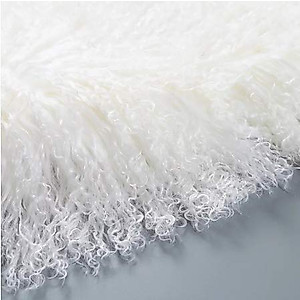 Genuine Tibetan Mongolian Sheepskin Area Rugs Long Wool Curly Fur Hide Pelt Mat Carpet Throw for Bedroom, Living Room，Home Décor 2'x3'