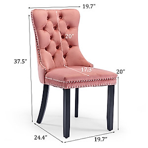 JETEAGO Velvet Dining Chair Set of 2, Upholstered Tufted Dining Room Chair with Nailhead Trim and Solid Wood Leg for Kitchen, Pink, W114391508