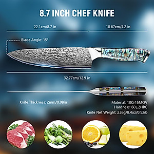 KEIZOKU Damascus Steel Chef Knife 8 Inch, Japanese Professional 10Cr15MOV Blade with Hand Forged Hammer Pattern, Ultra Sharp Kitchen Knife with Abalone Shell Ergonomic Handle
