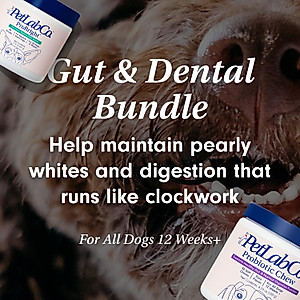 PetLab Co. – Gut & Dental Bundle: Dog Probiotics for Gut Health, Seasonal Allergies, Skin & Ear Healthy Yeast Levels 30 Count & Doggy Dental Powder for an Effortless Deep Clean in 1 Scoop