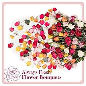 Fresh Flowers Delivery - Next-Day Delivery - 24 Assorted Roses - Flower Fresh Bouquet - Fresh Cut Long Stem Roses Bouquet of Flowers Birthday Gifts for Women -Aquarossa Farms