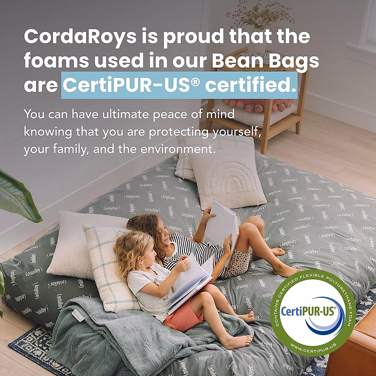 CordaRoy's Chenille Bean Bag Chair Cover Only (Bean Bag Sold Separately), King Size, Charcoal