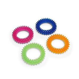 Leaps & Bounds Spiny Ring Assortment Dog Chew Toy Small