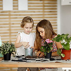 Succulent Tools, 13 Pcs Mini Garden Tool Set, Transplanting Tools Set,Succulent Care kit for Succulent Miniature Gardening Plant, Black