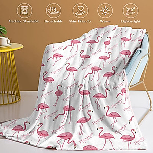 WEALLIN Flamingo Gifts Flamingo Blanket, Flamingo Gifts for Women, Flamingo Gifts for Girls, Soft Blanket for Children's Day Gift, Birthday Gift Pink Gifts for Women Flamingo Decor 60 X 80 Inch