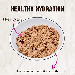 Rawz Natural Premium Pate Canned Cat Wet Food - Made with Real Meat Ingredients No BPA or Gums - 5.5oz Cans 24 Count (Turkey & Turkey Liver)