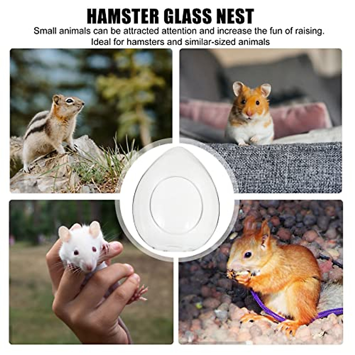 PATKAW Hamster Cages Hamster Cages Chinchilla Cage Glass Hamster House Glass Hamster Hamster Bed House Summer Hamster Hideout Clear Small Animal Hamster Cages Chinchilla Cage Chinchilla Cage