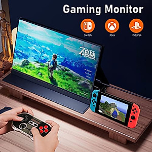 Feiasia 2.5K Portable Monitor 17.3 Inch 2560x1440 100% Adobe sRGB IPS HDR USB-C Second Laptop Monitor HDMI Computer Display Gaming Monitor Travel Monitor for Laptop PC Mac Phone PS4 Xbox Switch